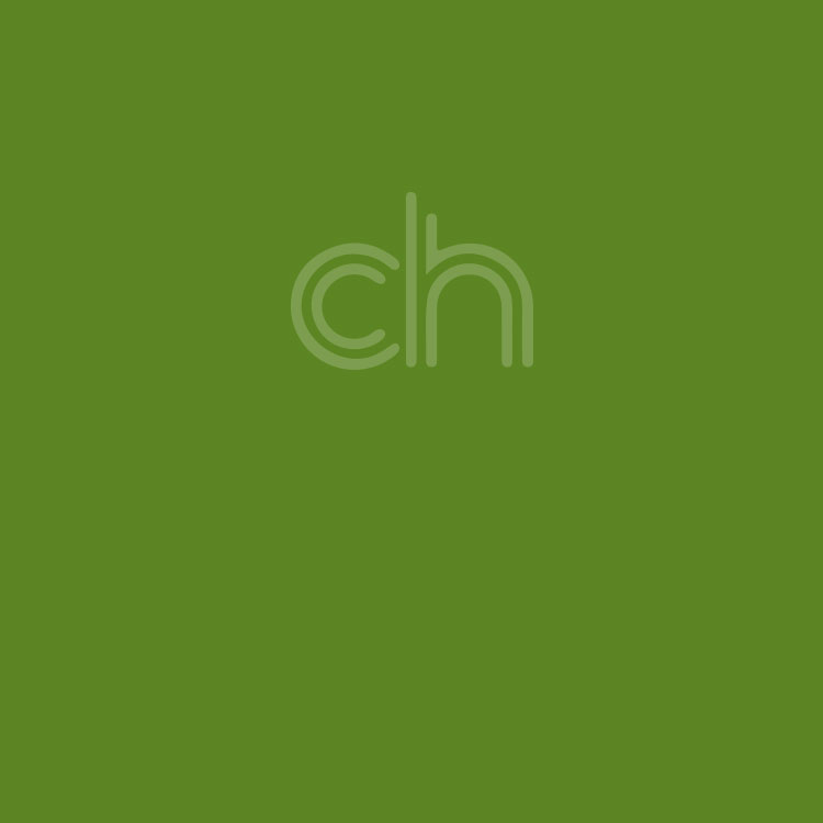 Chiltern Hills Academy Home